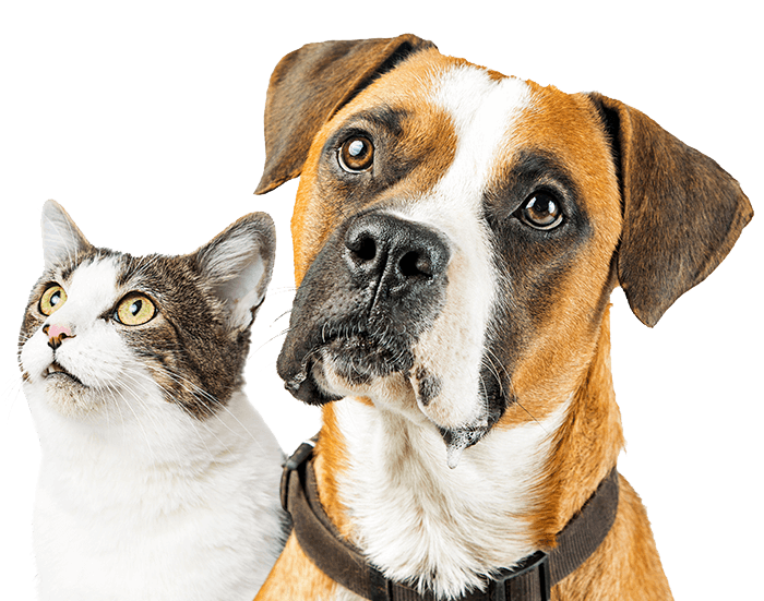 ANIMAL CENTER | Tienda para Mascotas