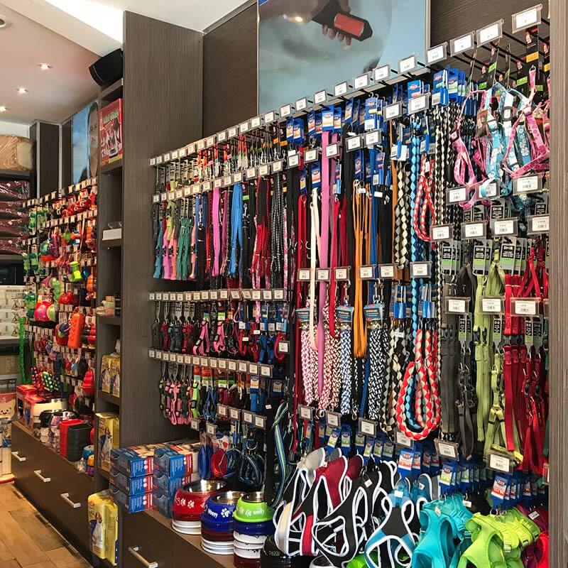 Home base - Animal Center