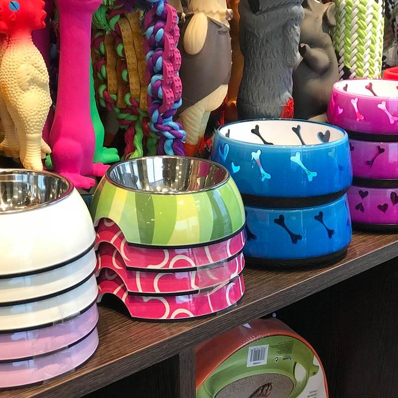 Home base - Animal Center