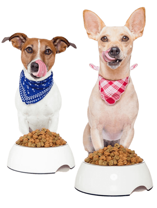 ANIMAL CENTER | Tienda para Mascotas